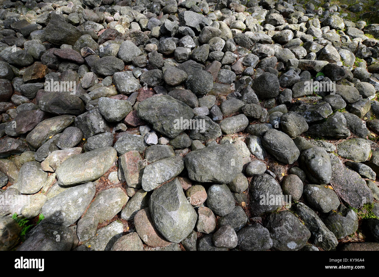 Gepids High Resolution Stock Photography and Images - Alamy