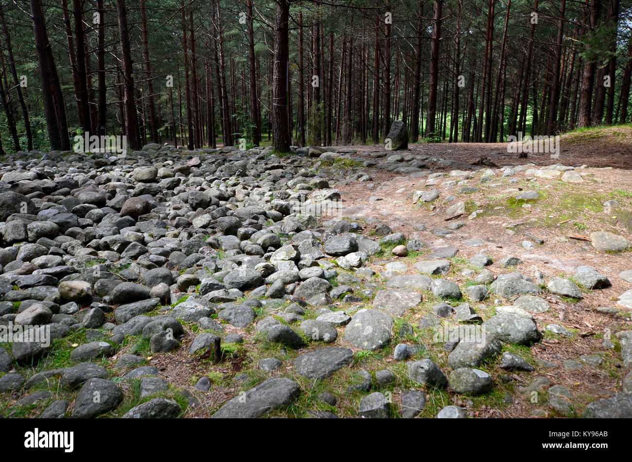 Tumuli in Wesiory (the ancient graveyard of Goths and Gepids Stock ...