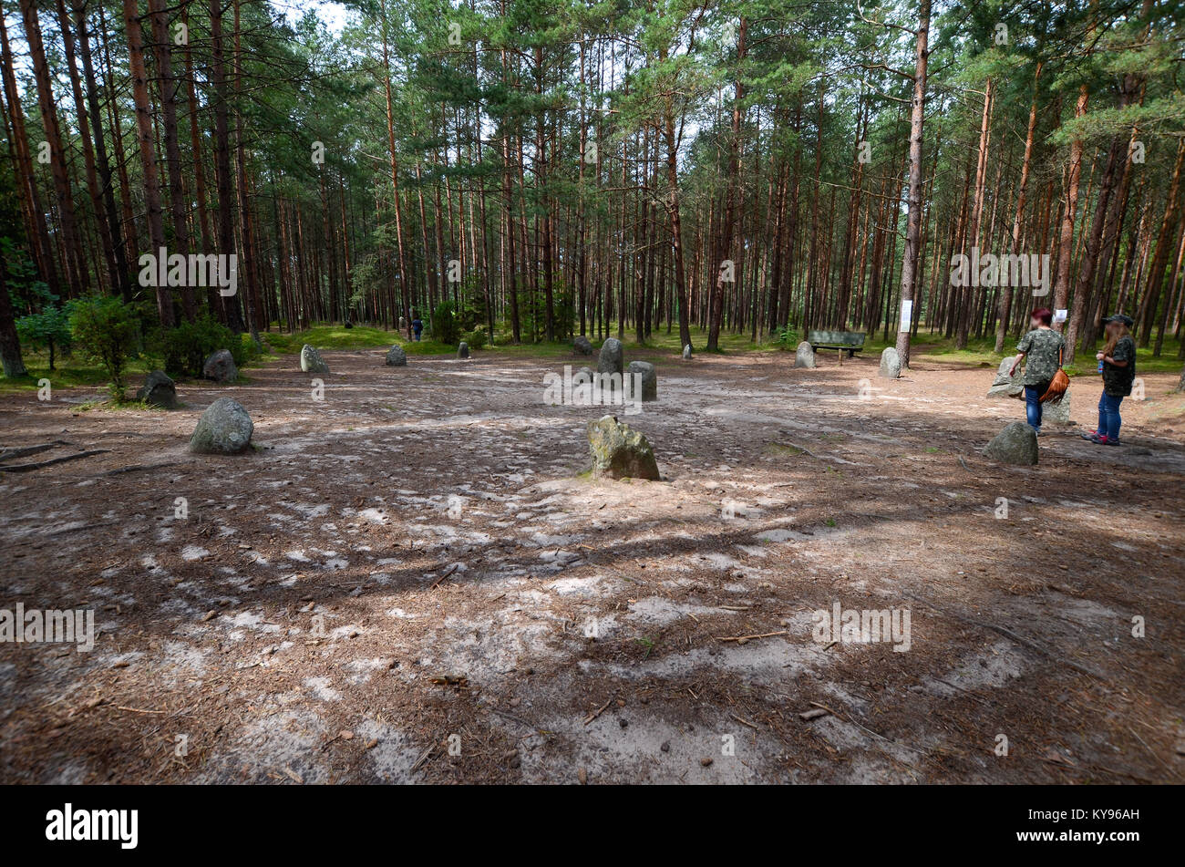 Tumuli in Wesiory (the ancient graveyard of Goths and Gepids Stock ...