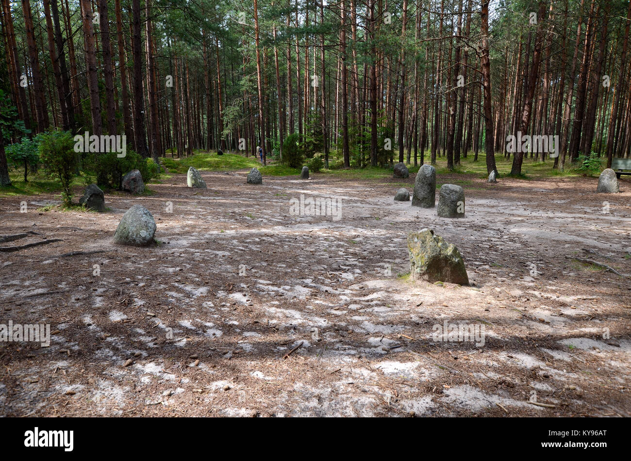 Tumuli in Wesiory (the ancient graveyard of Goths and Gepids Stock ...