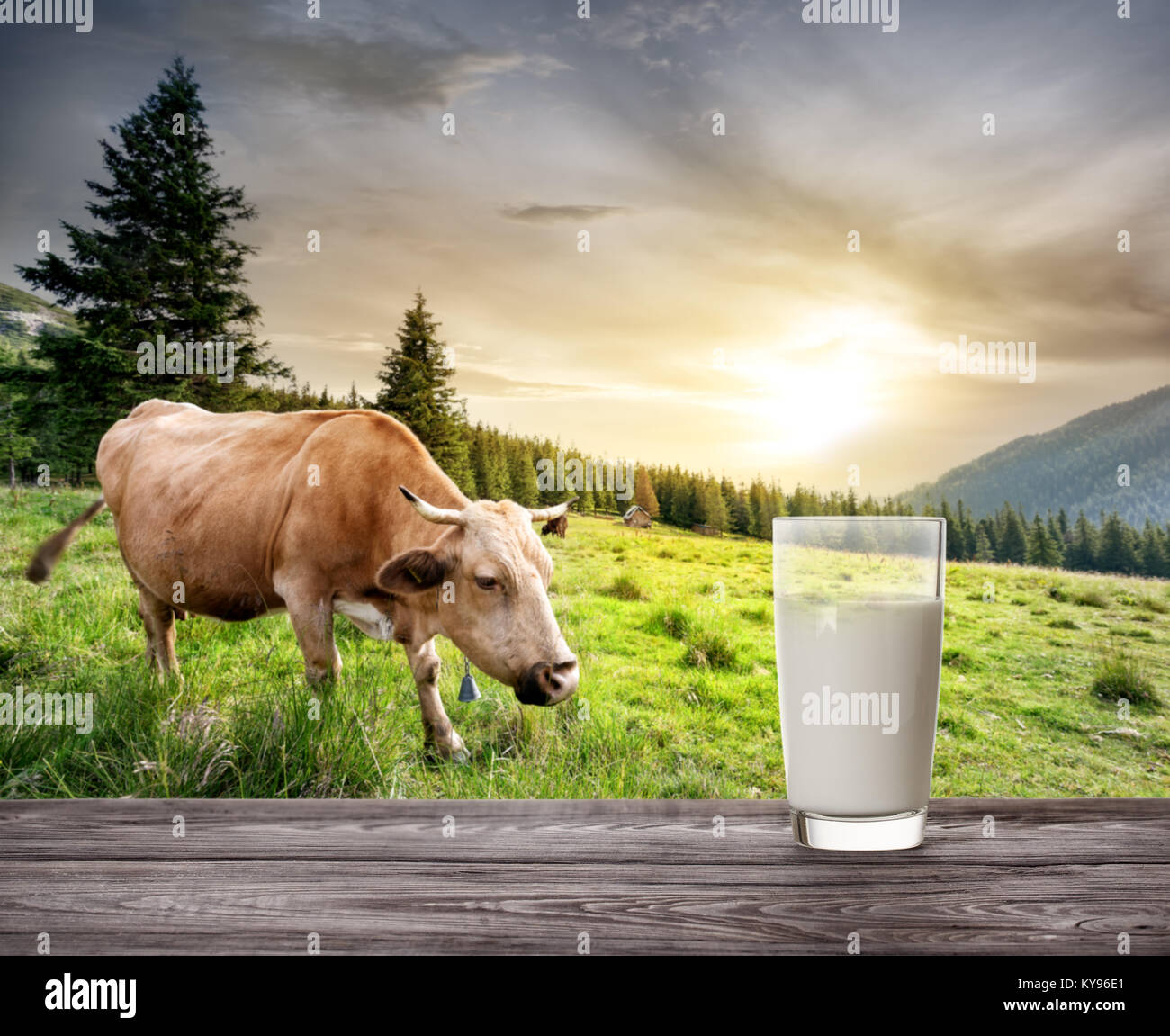 A glass of fresh milk against background of beige cow on mountain ...
