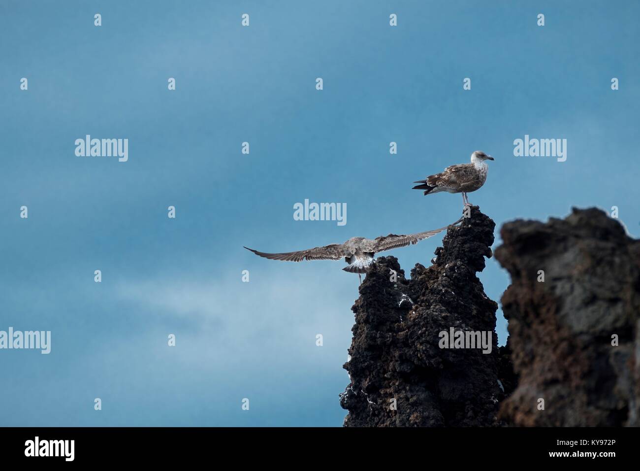Blustery day hi-res stock photography and images - Alamy
