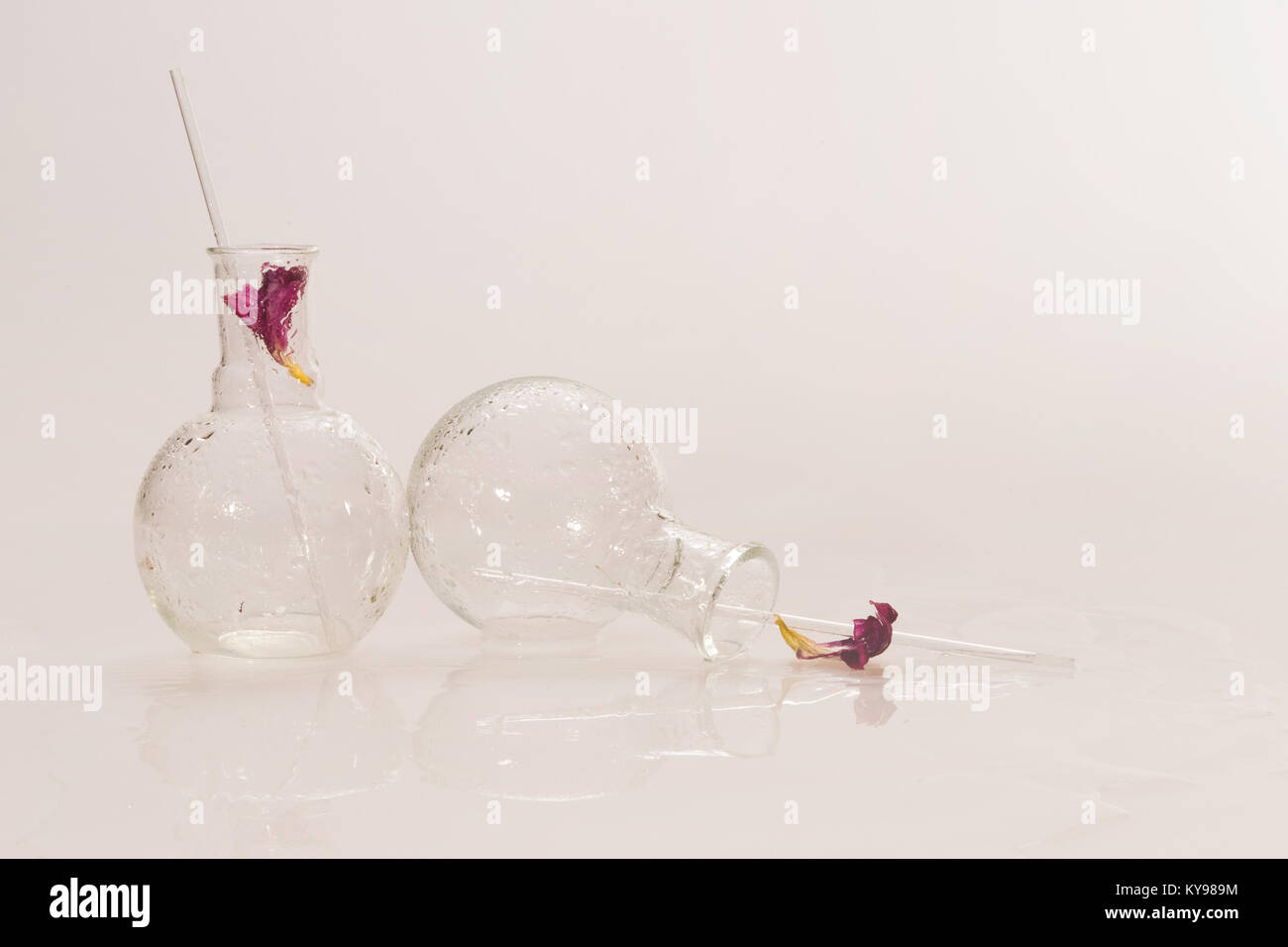 Two transparent glass chemical flasks on a white background, in each ...