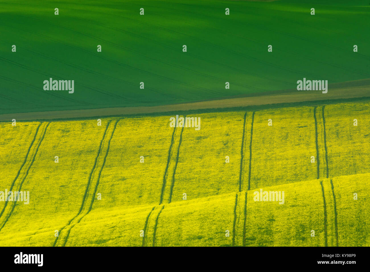 Beautiful and colorful abstract landscape, with rolling hills, green ...
