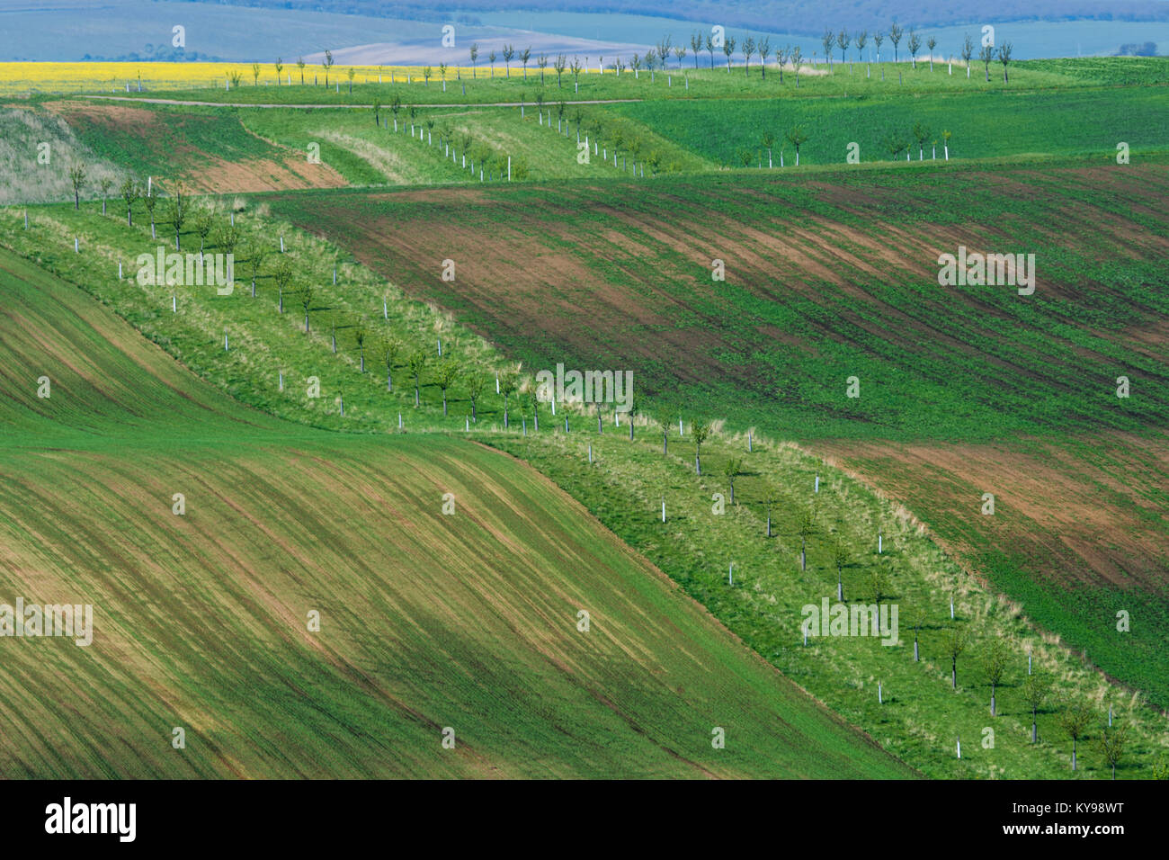 Beautiful and colorful abstract landscape, with rolling hills, green ...