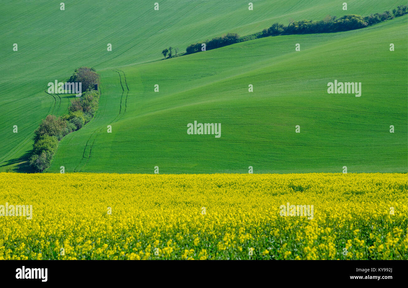 Beautiful and colorful abstract landscape, with rolling hills, green ...
