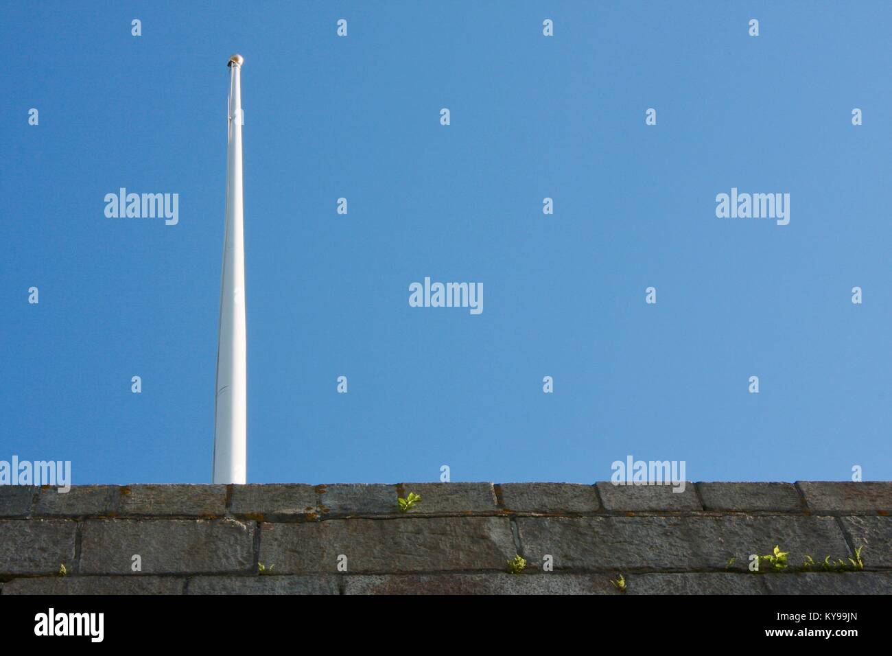 Log floating in Pond Stock Photo - Alamy