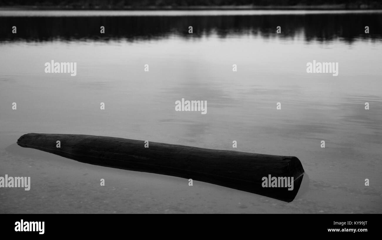 Log floating in Pond Stock Photo - Alamy
