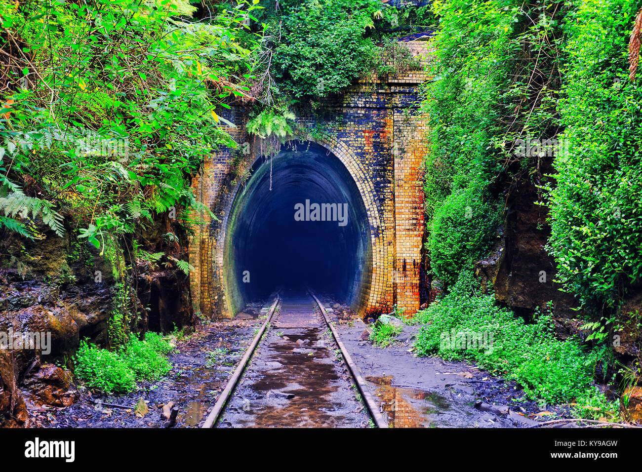 Historic railway tunnel deep into mountain surrounded by lush ...
