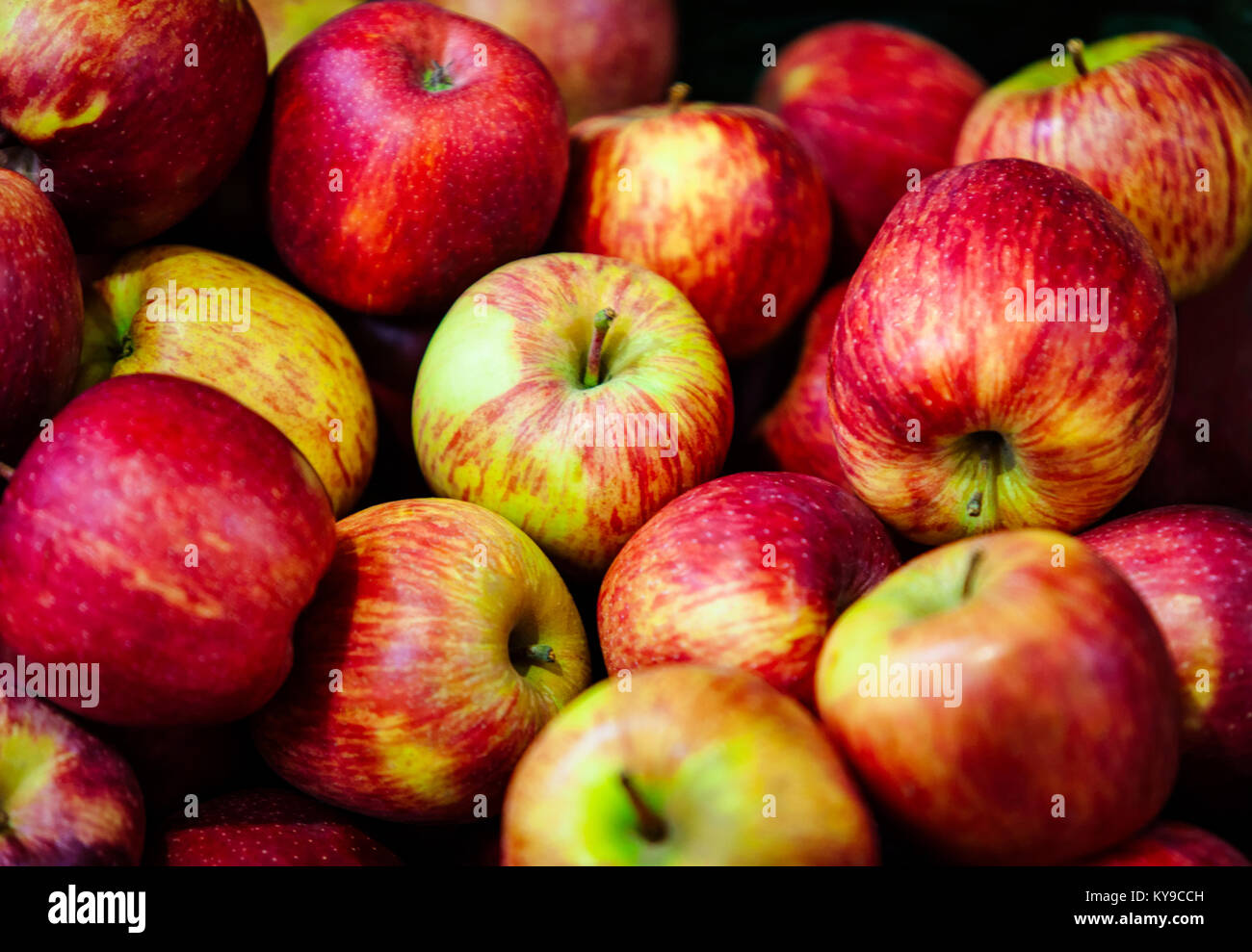 Large group of red apples background Stock Photo - Alamy