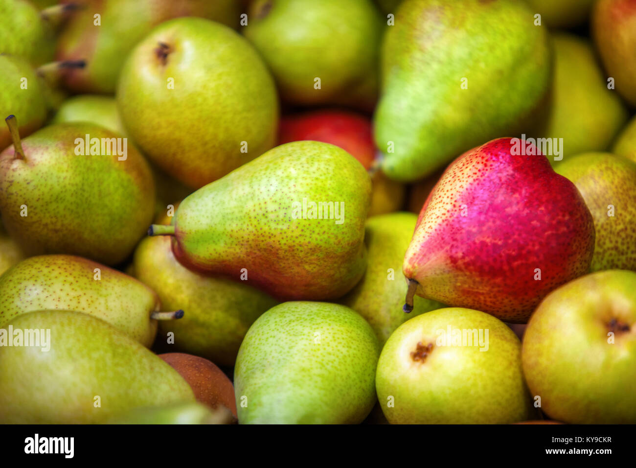 Large group of green and red pears background Stock Photo - Alamy