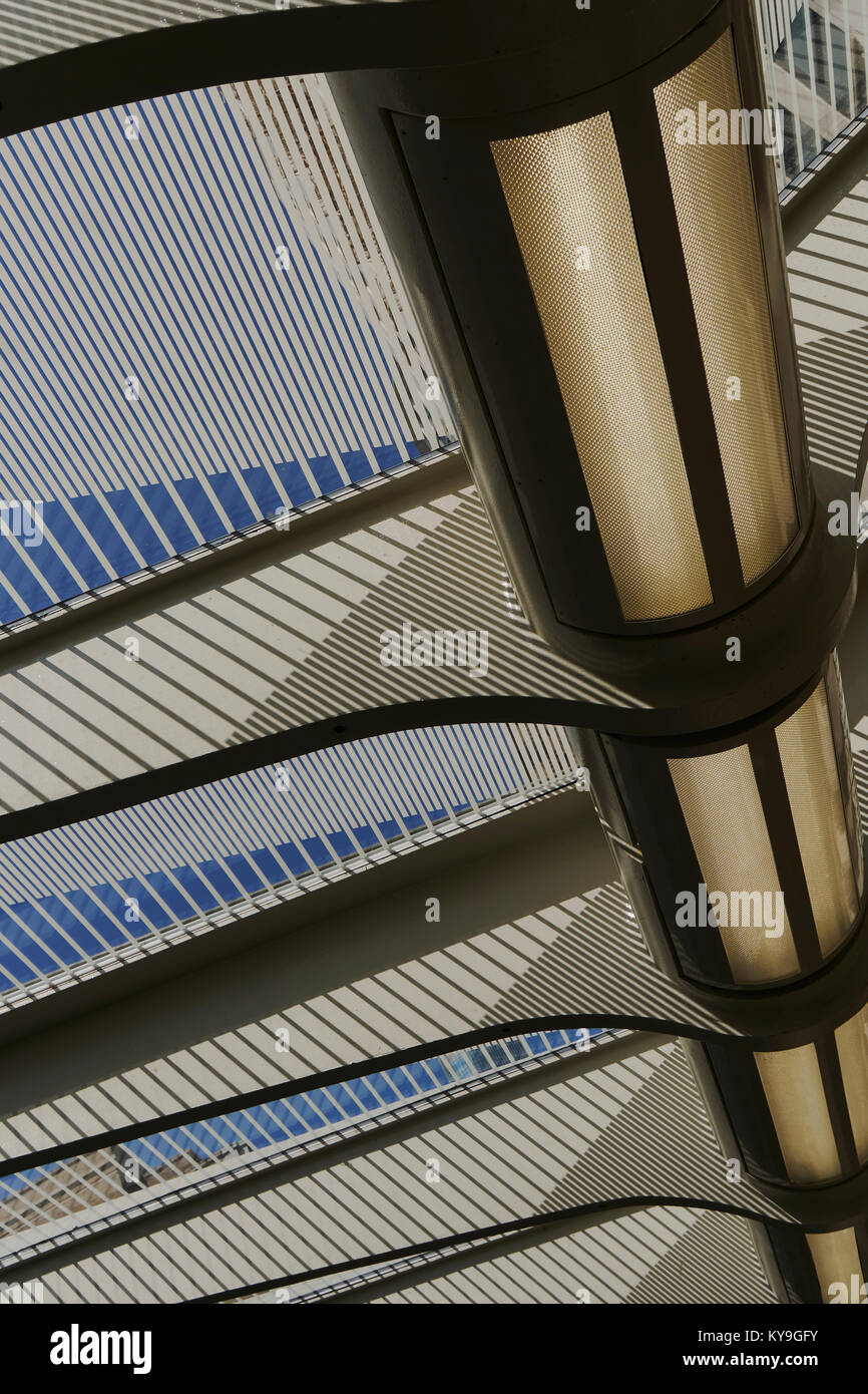 Newest Chicago Loop train station Stock Photo - Alamy