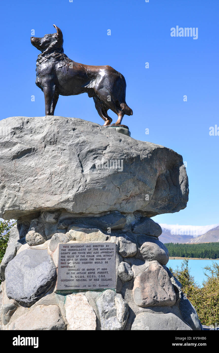 On Lake Tekapo is a well-known bronze statue of a New Zealand Collie ...