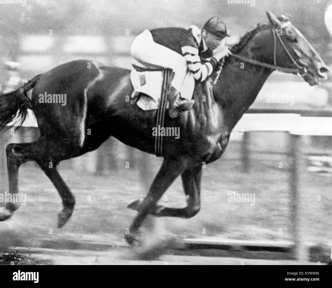 Man o war horse hi-res stock photography and images - Alamy