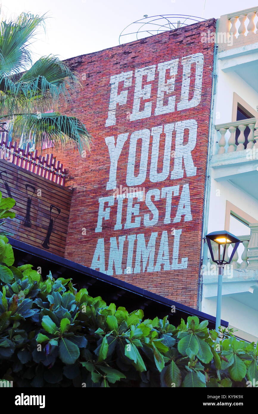 Feed your fiesta animal Stock Photo - Alamy
