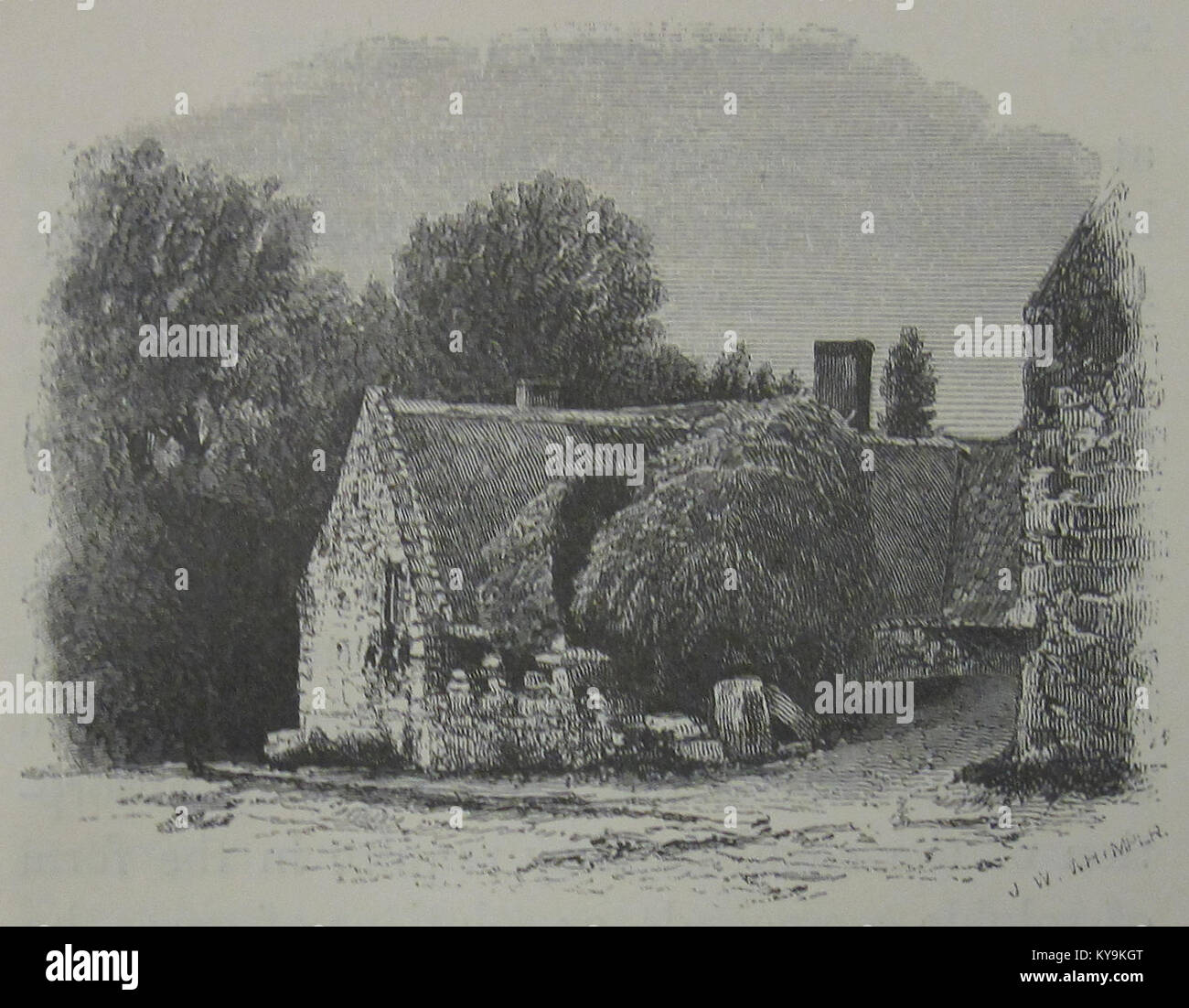 Rambles Among the Channel Islands by a Naturalist Jean Louis Armand de ...