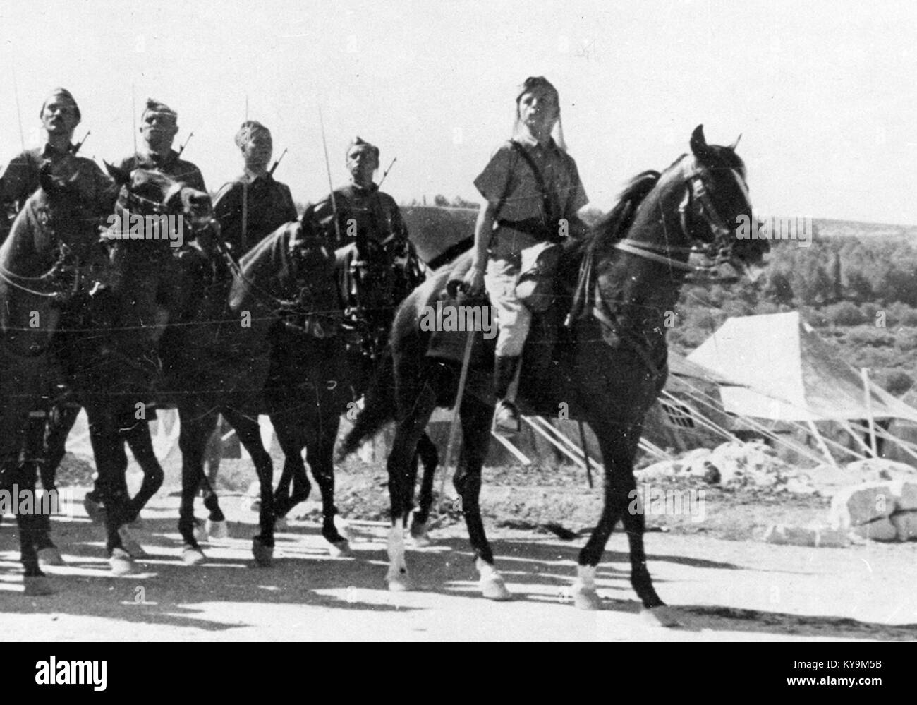 Polish Cavalry High Resolution Stock Photography and Images - Alamy