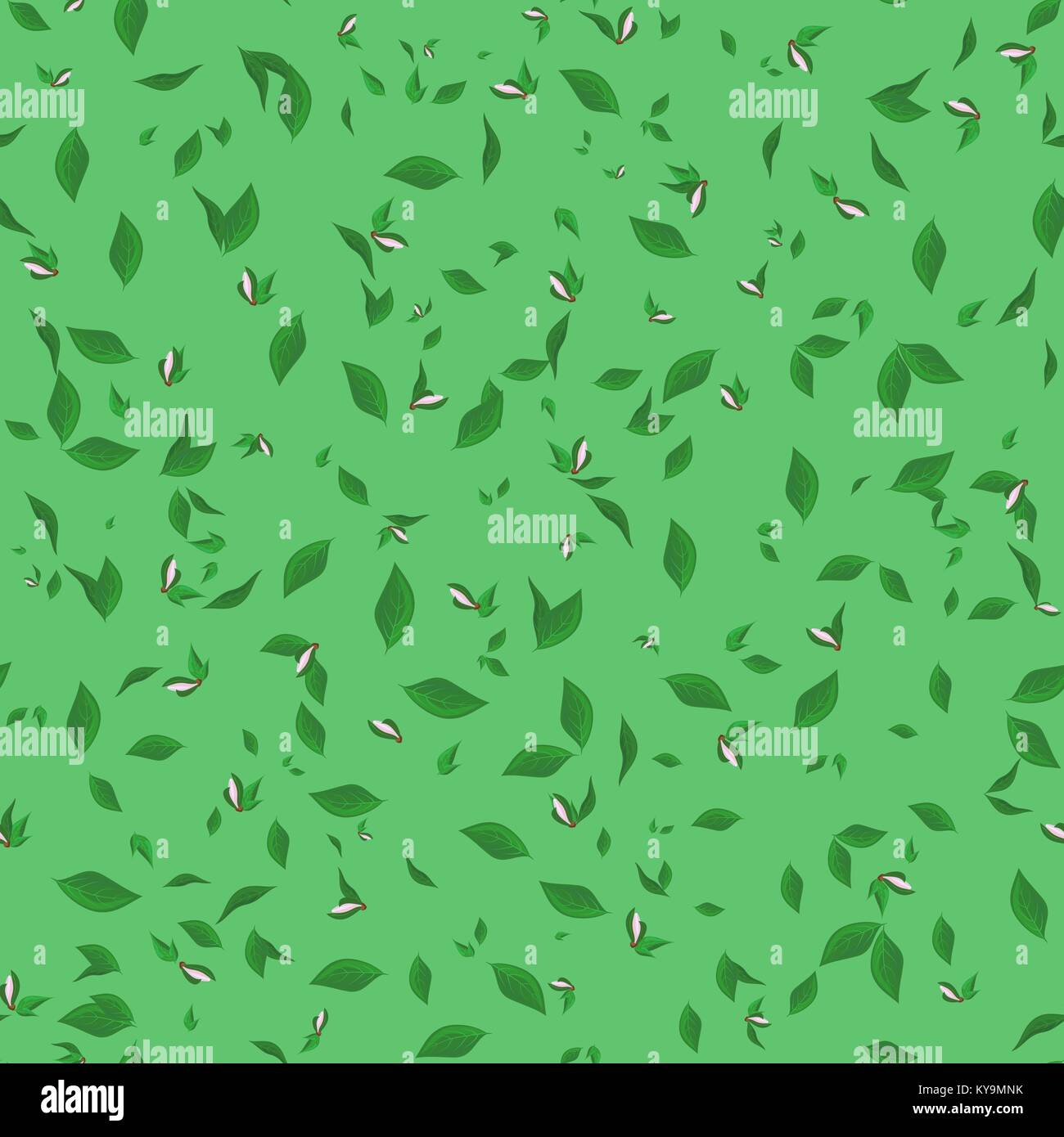 Plant with buds Stock Vector Images - Alamy