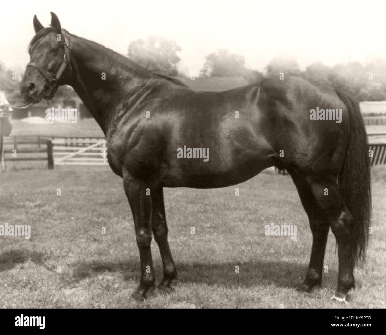 A historical reference to the Round Table movement in the United States ...