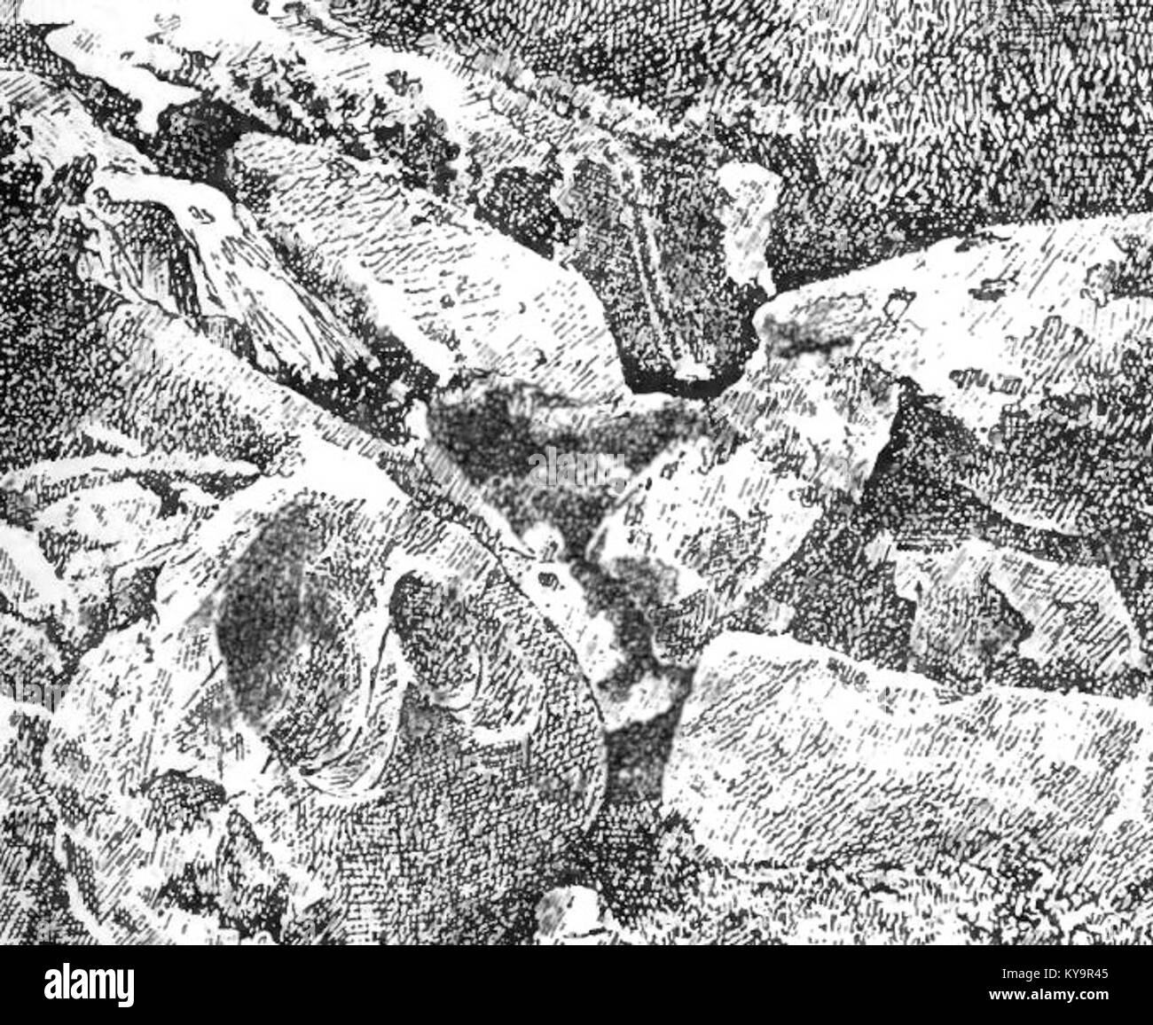 A historical mortar-stone from Okeford, used in the grinding of ...