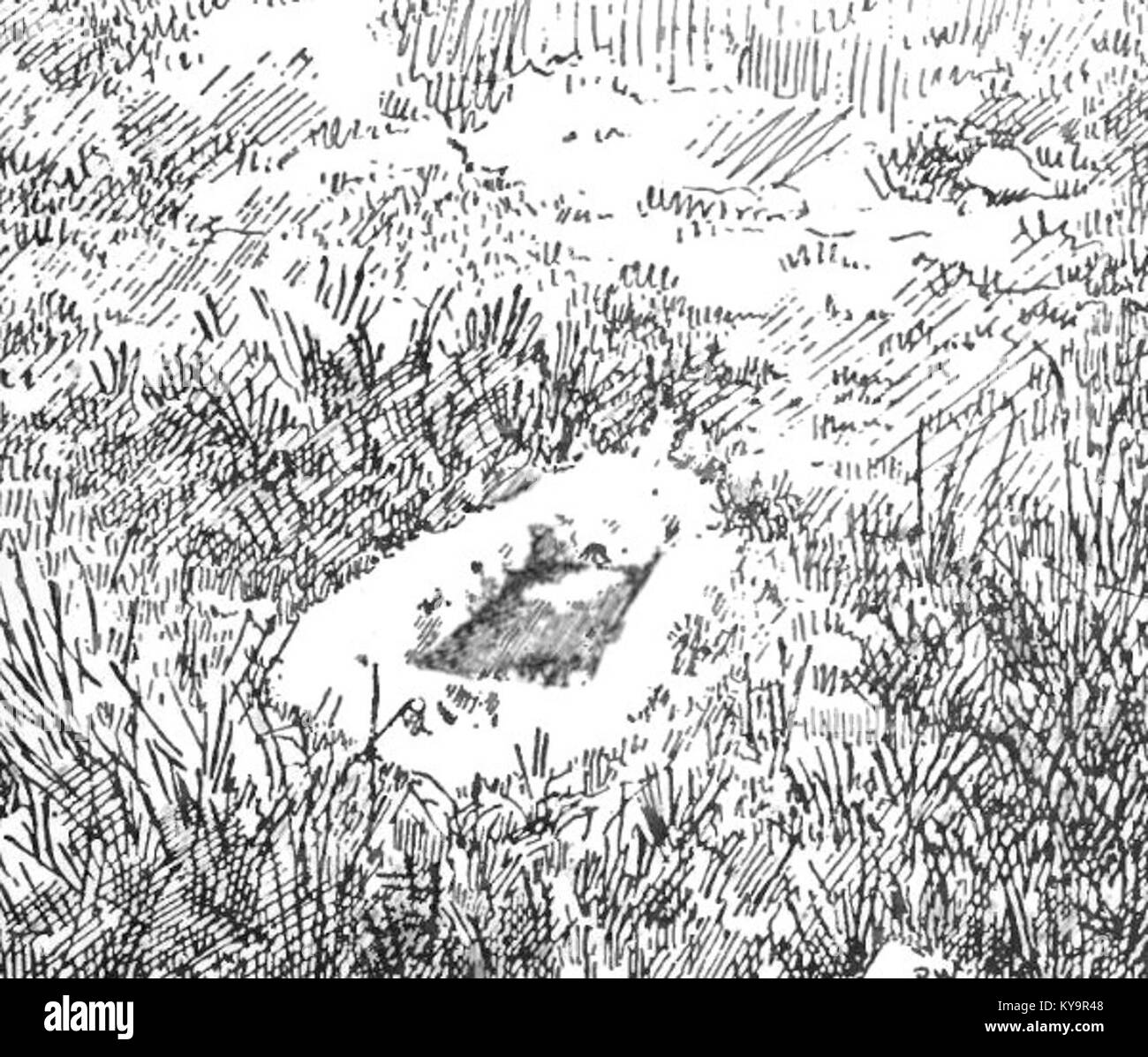 Mould formation Black and White Stock Photos & Images - Alamy