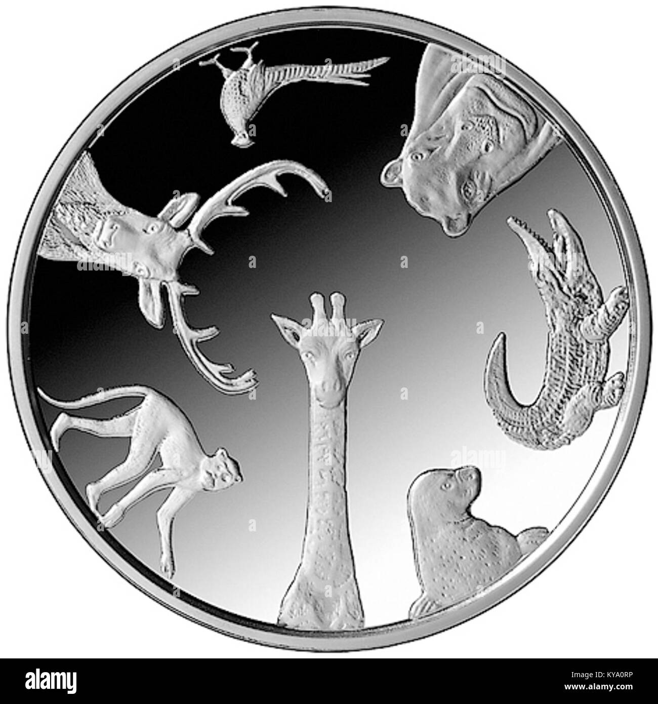 Creation species Black and White Stock Photos & Images - Alamy