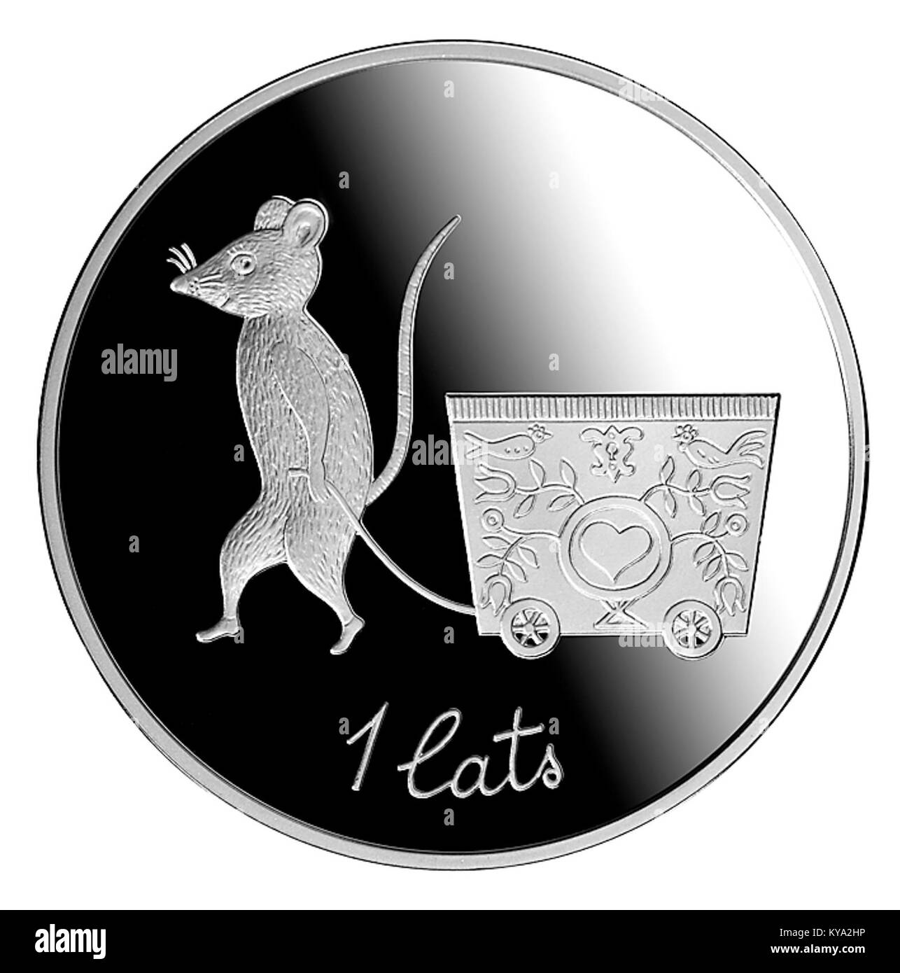 Animal structure study Cut Out Stock Images & Pictures - Alamy