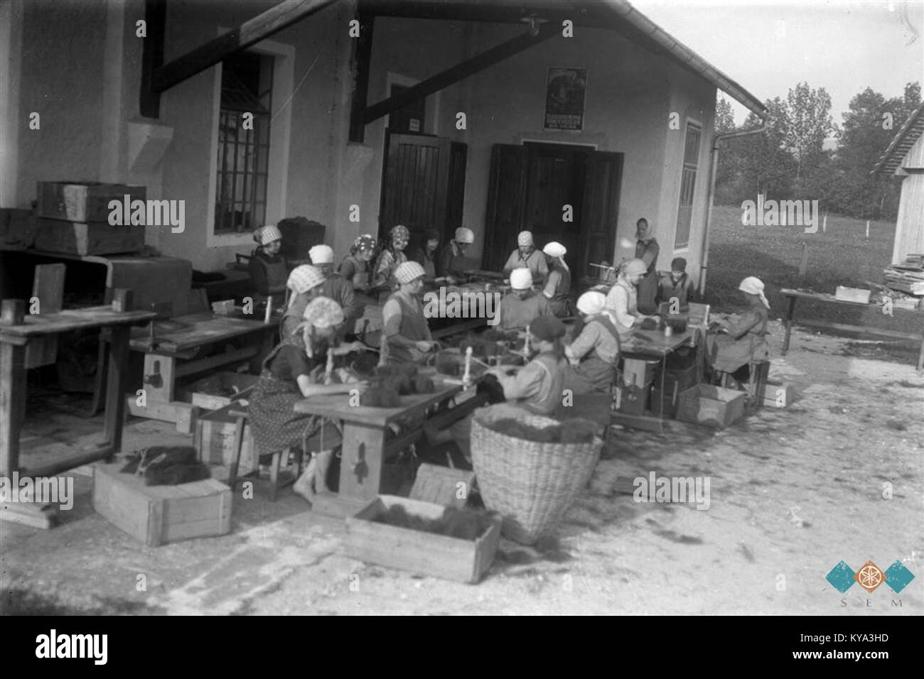A photograph of the manual sorting of wool, possibly in a rural setting ...