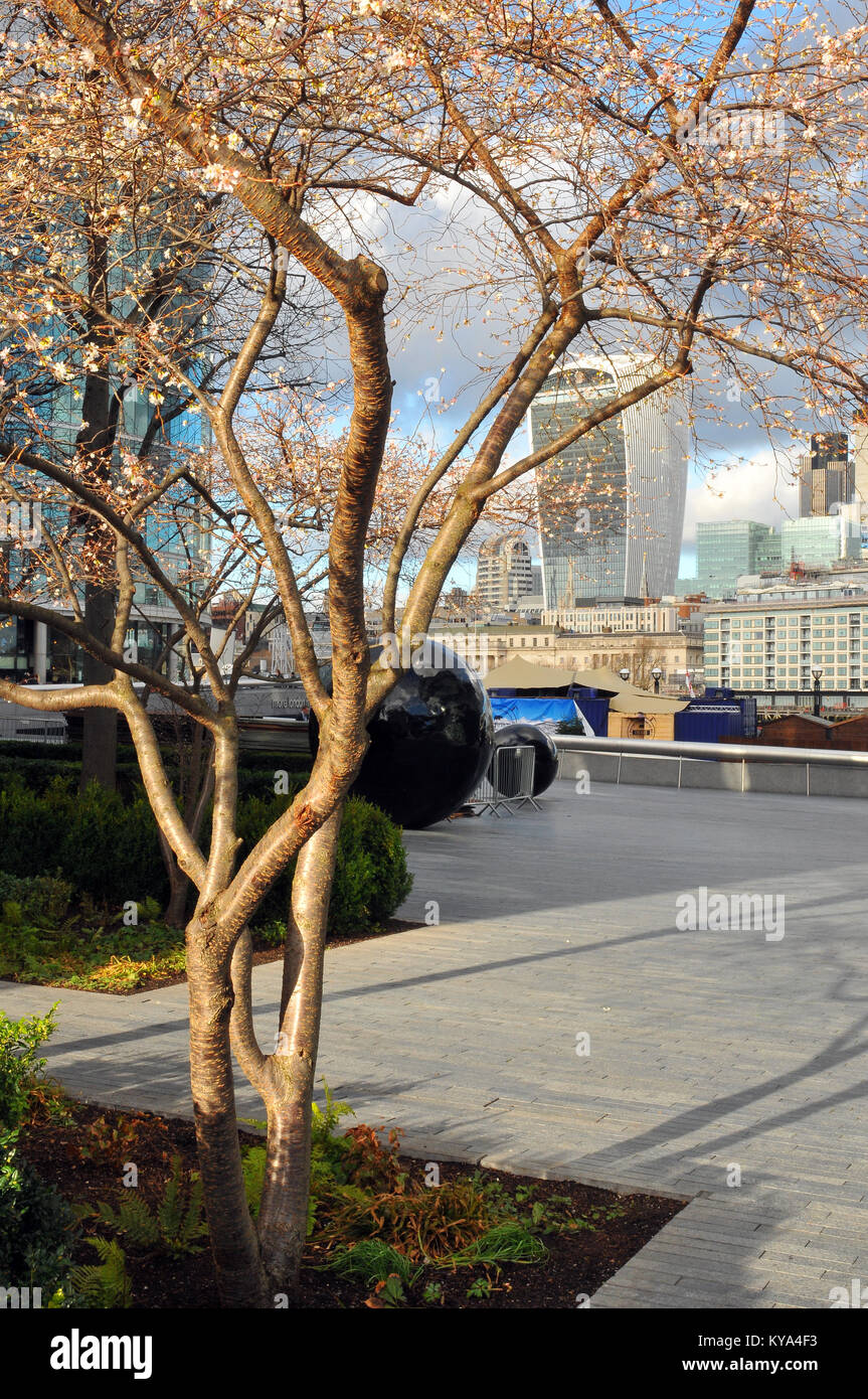 Urban tree with spring shoots hi-res stock photography and images - Alamy