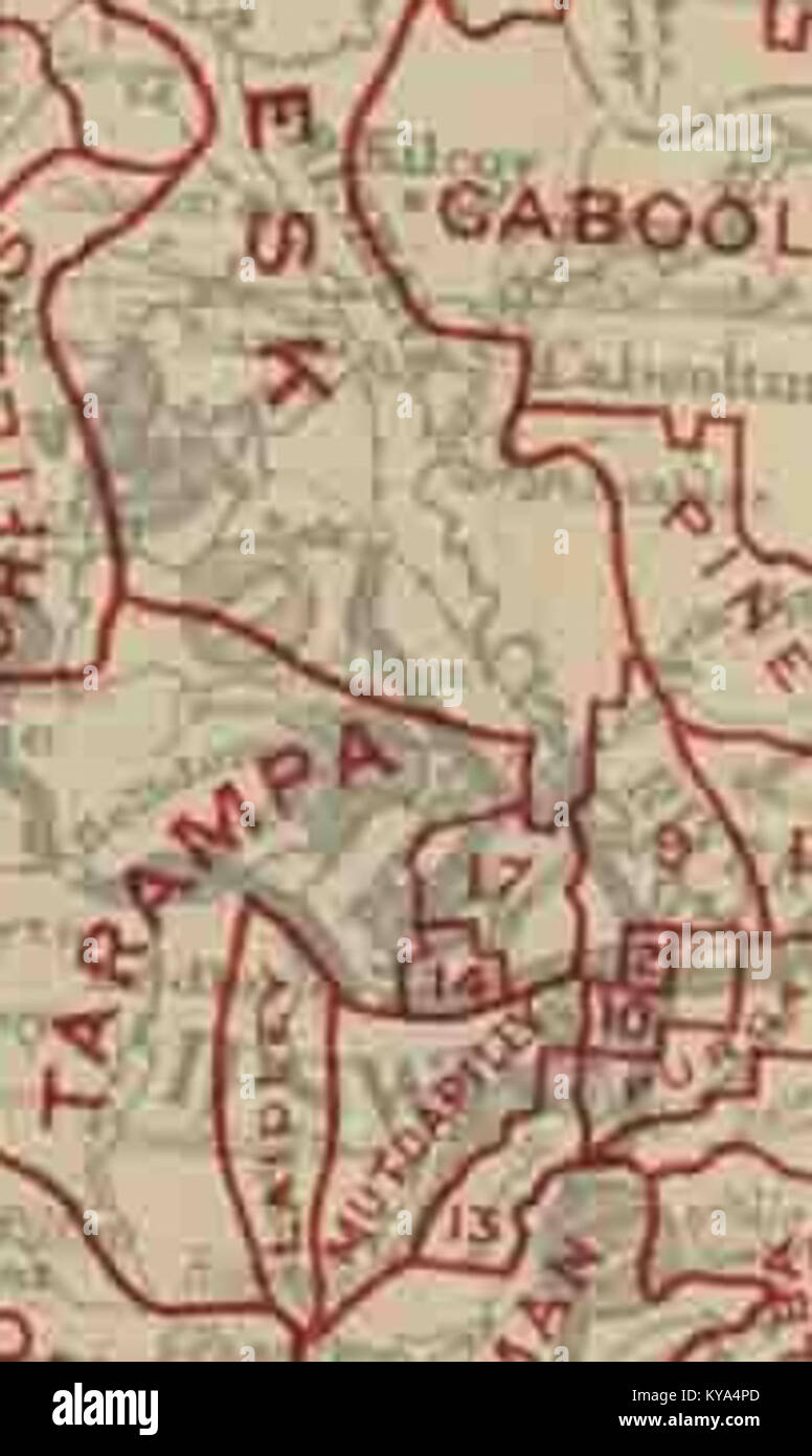 The Walloon Division, active in March 1902, was a military unit engaged ...