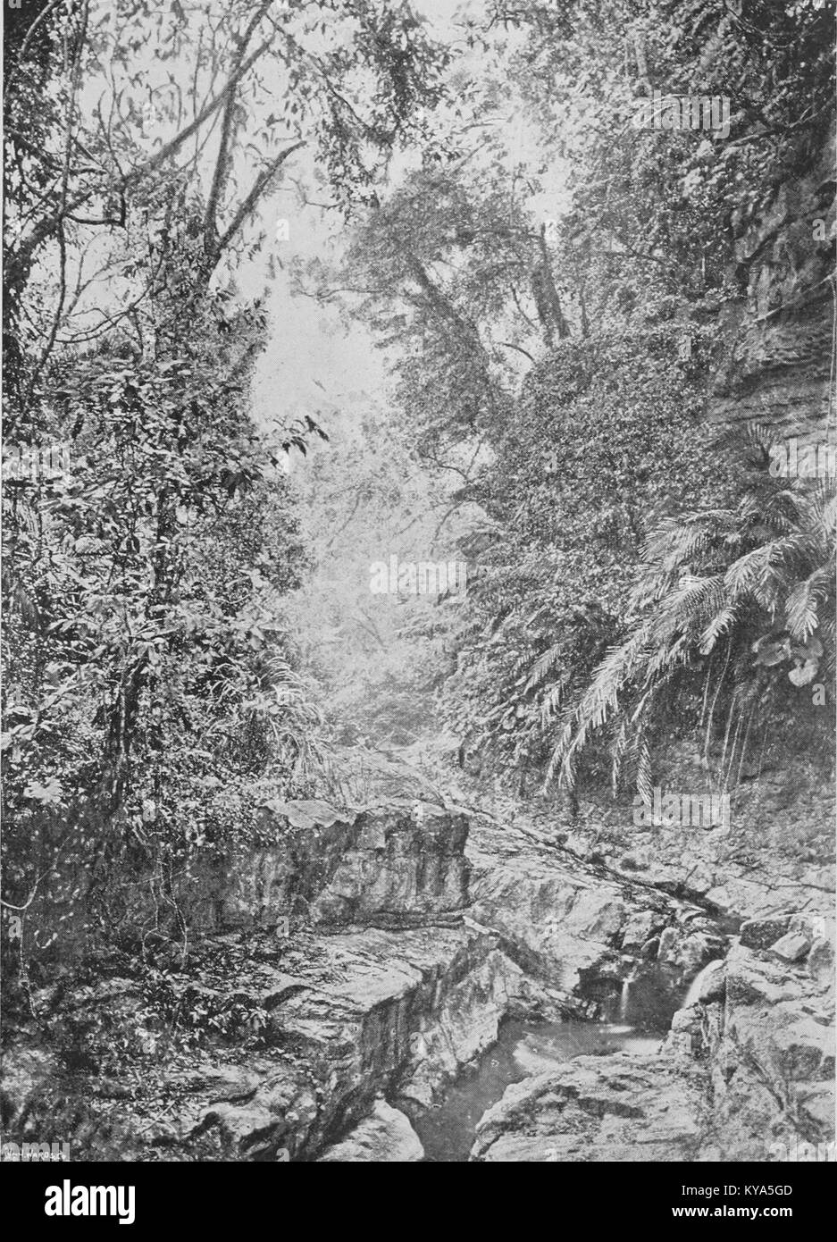 A historical photograph of a mountain gorge on the Island of Formosa ...