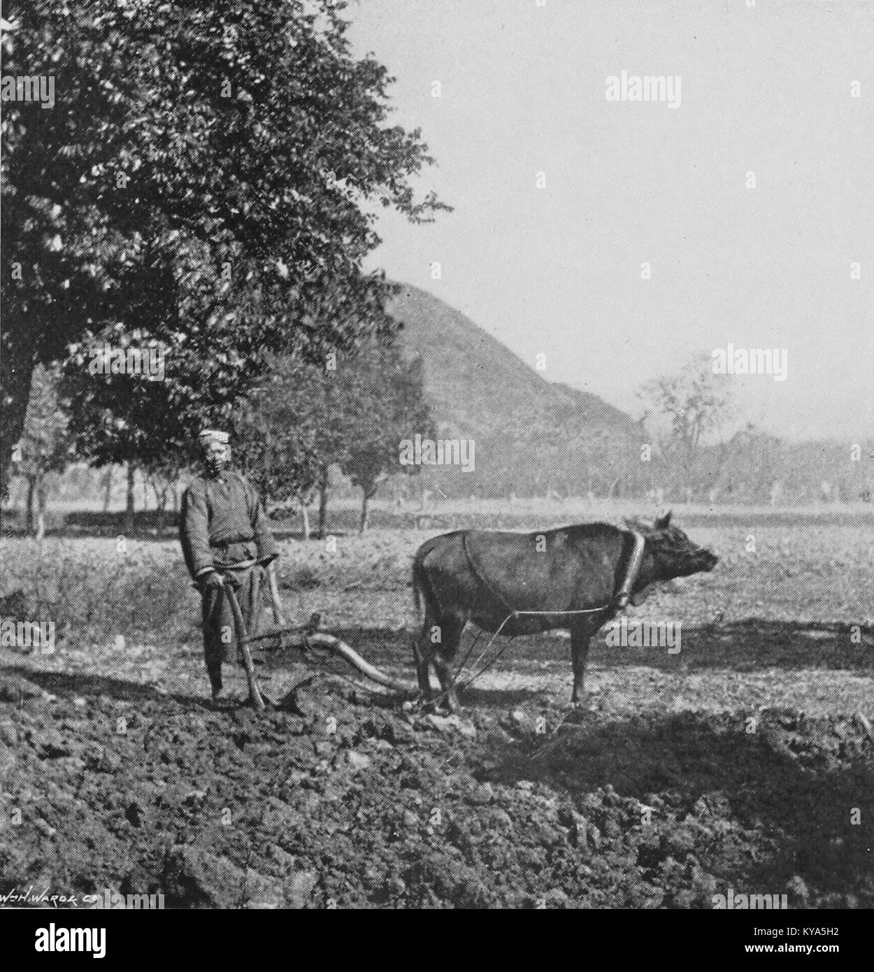 Ancient plough Black and White Stock Photos & Images - Alamy