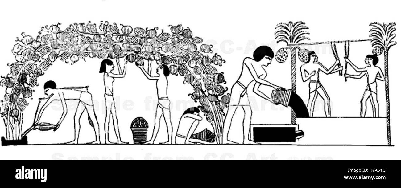 This illustration depicts vineyards and the winemaking process in ...