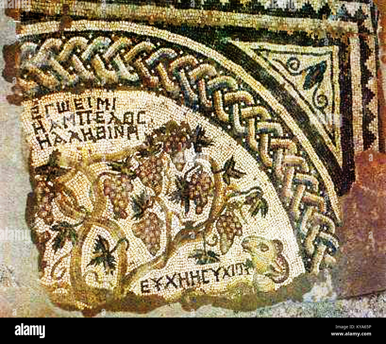 The mosaic vine in the basilica of Chrysopolitissa in Cyprus is a well ...