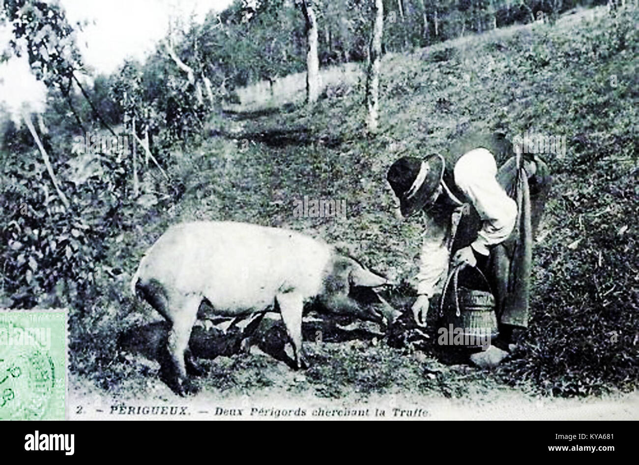 The photograph of a truffle hunter from Périgueux, France, shows the ...