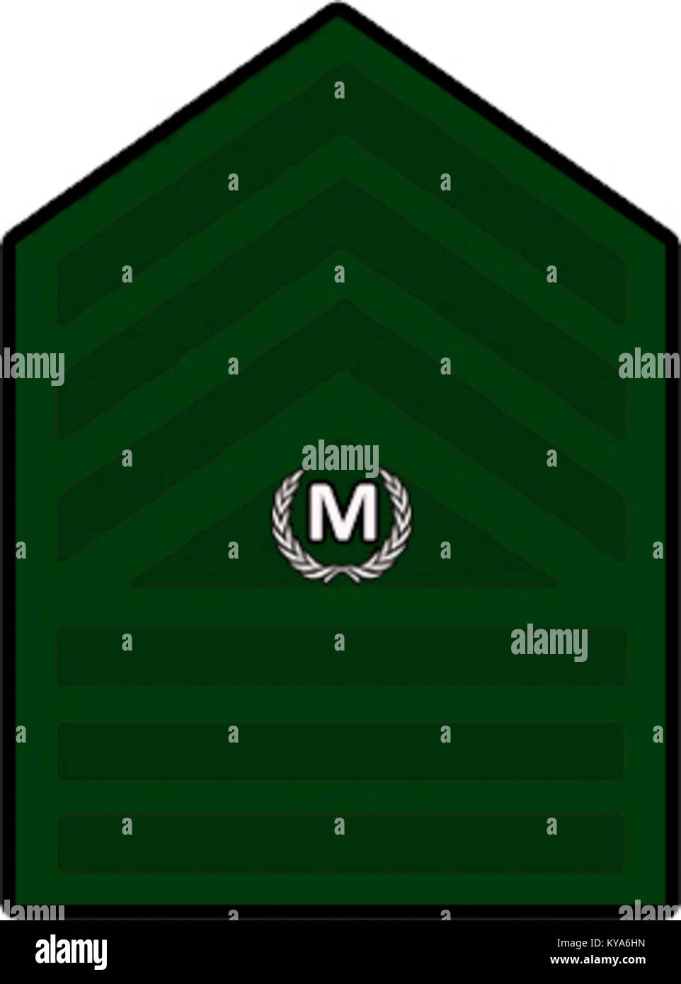 Command sergeant major hi-res stock photography and images - Alamy