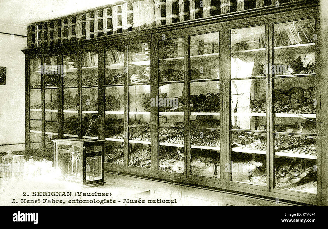 The Mus,e JH Fabre in S,rignan, France, showcases the life and work of ...