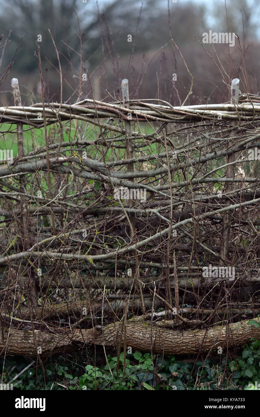 Edges of hedgerows hi-res stock photography and images - Alamy
