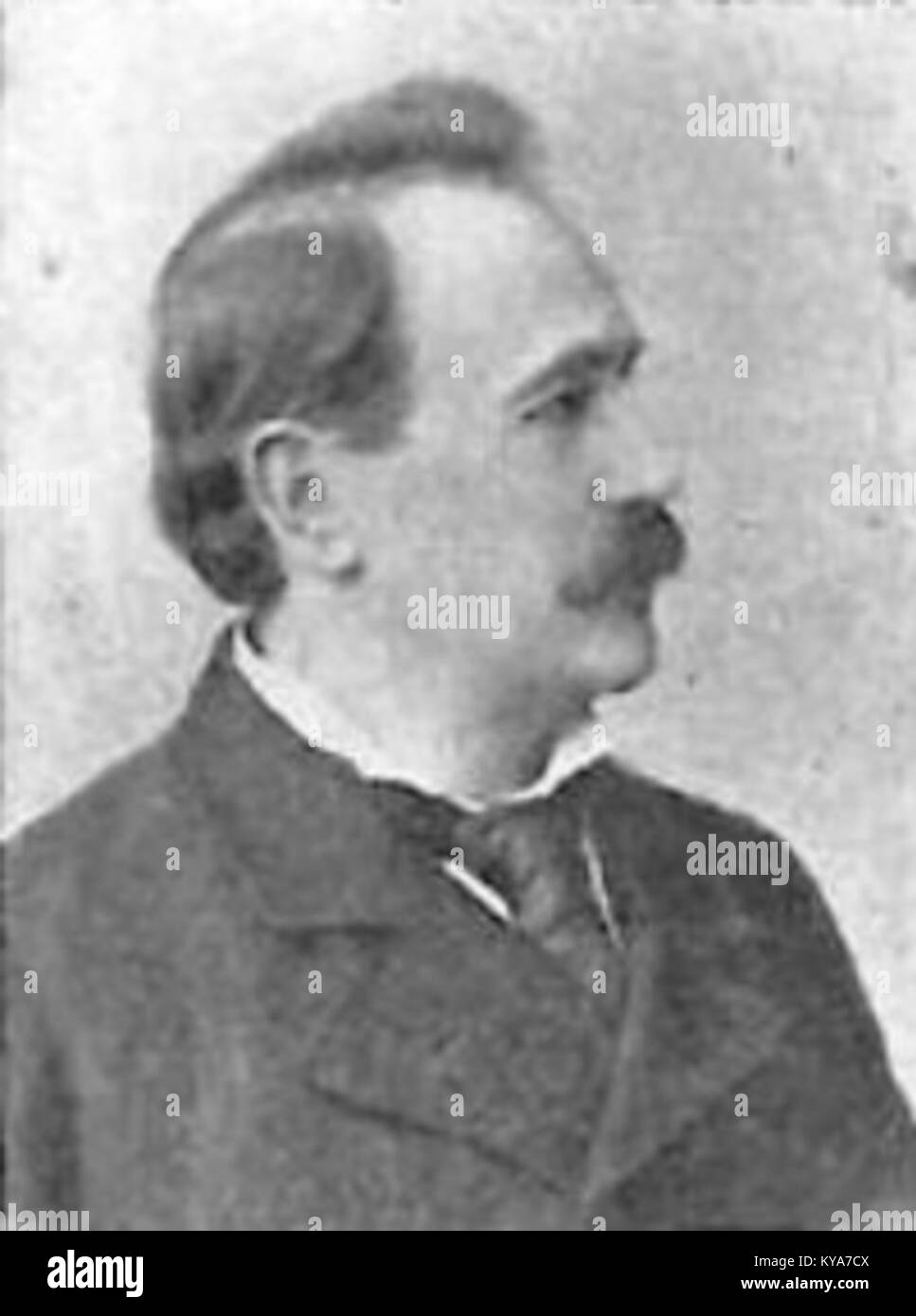 Portrait of Ney Dávid, a historical individual, showing facial features ...