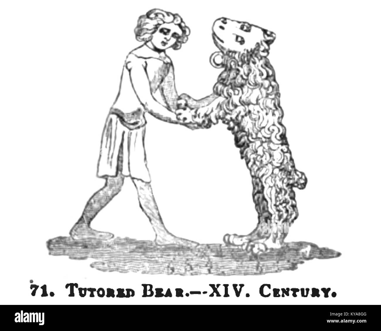 This image is part of a series by Joseph Strutt, depicting a bear in a ...