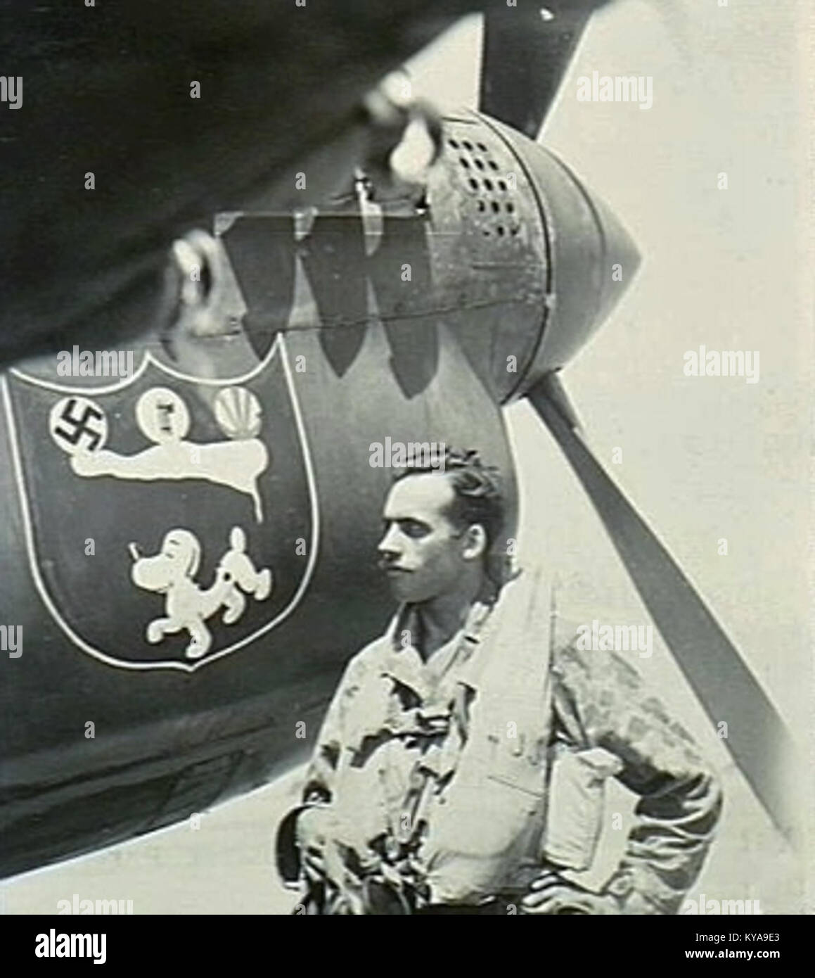 No. 82 Sqn RAAF P-40 Kittyhawk (AWM OG3202 Stock Photo - Alamy