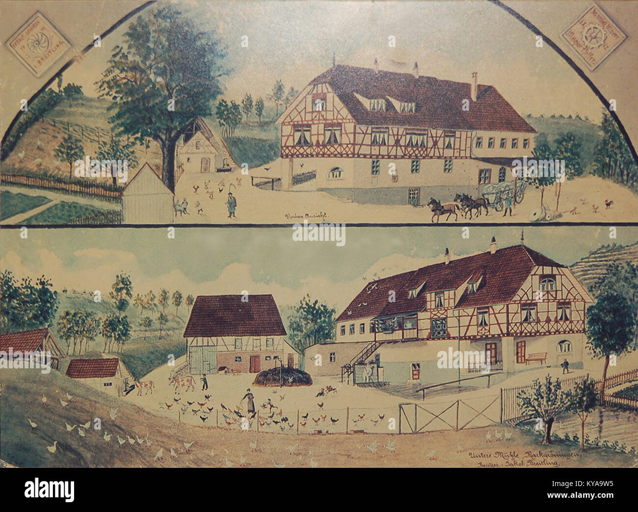 Ca mg hi-res stock photography and images - Alamy