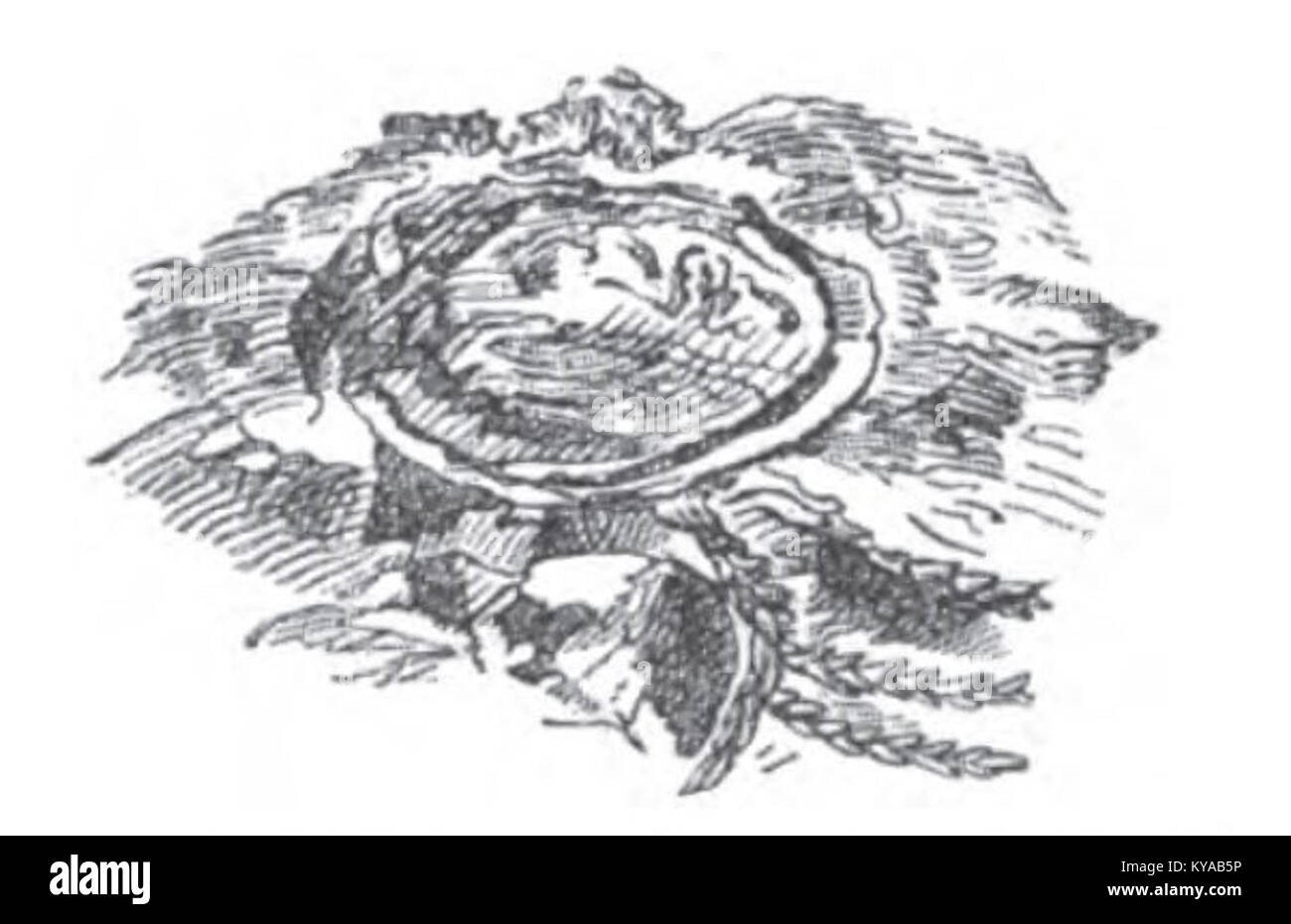 Documented door Cut Out Stock Images & Pictures - Alamy