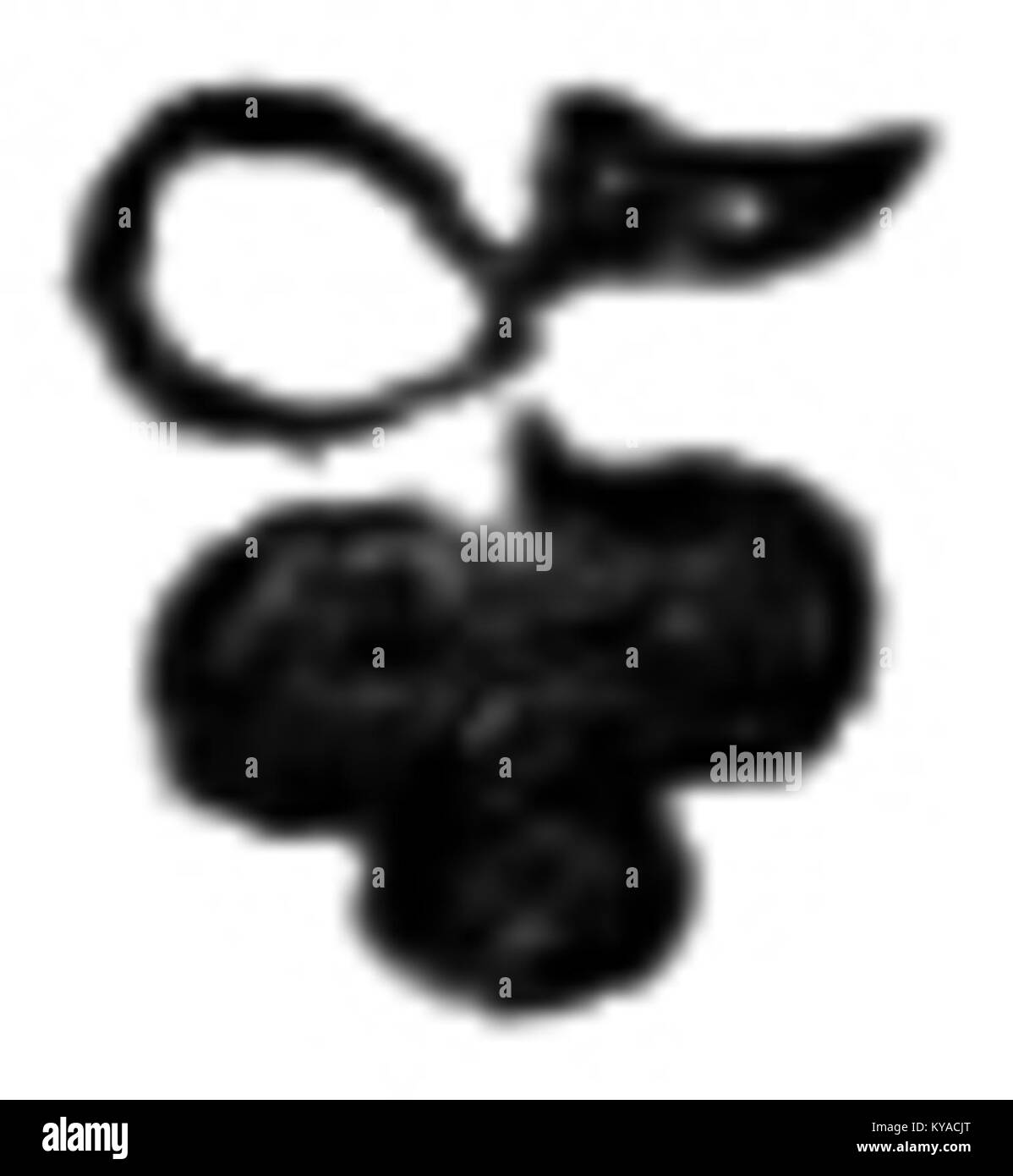 Dingbat Stock Photos & Dingbat Stock Images - Alamy