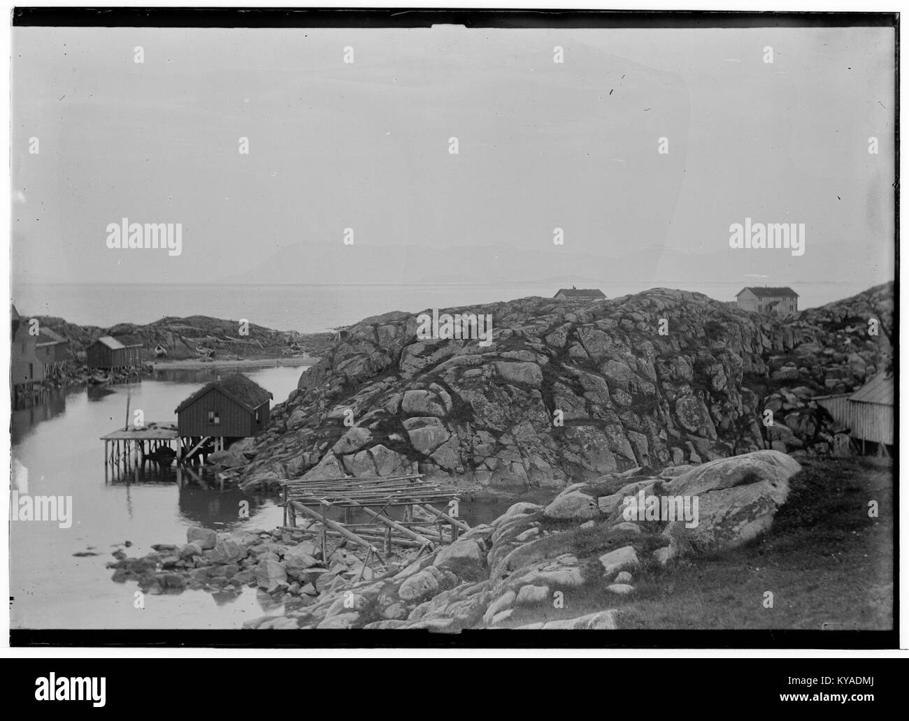 Ii features Black and White Stock Photos & Images - Alamy