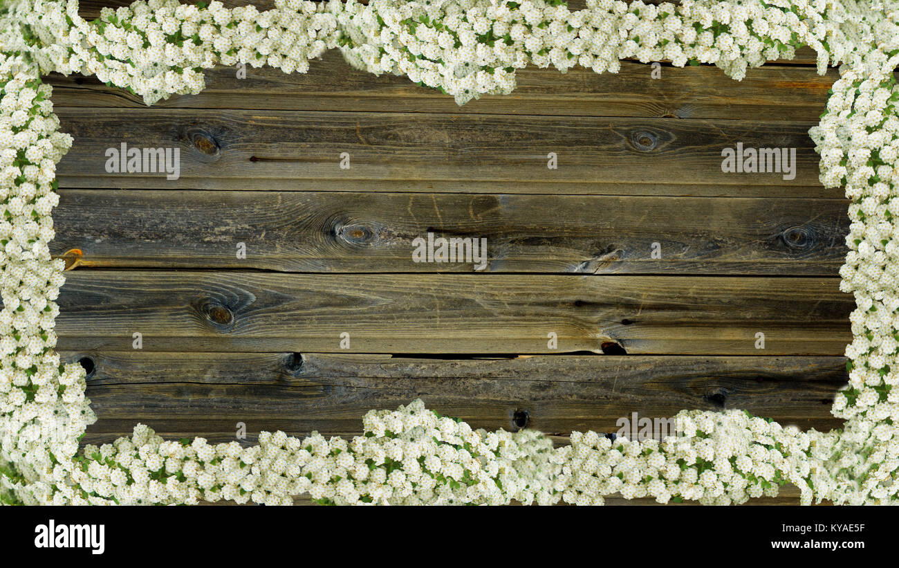 Soft paint wood surface hi-res stock photography and images - Alamy