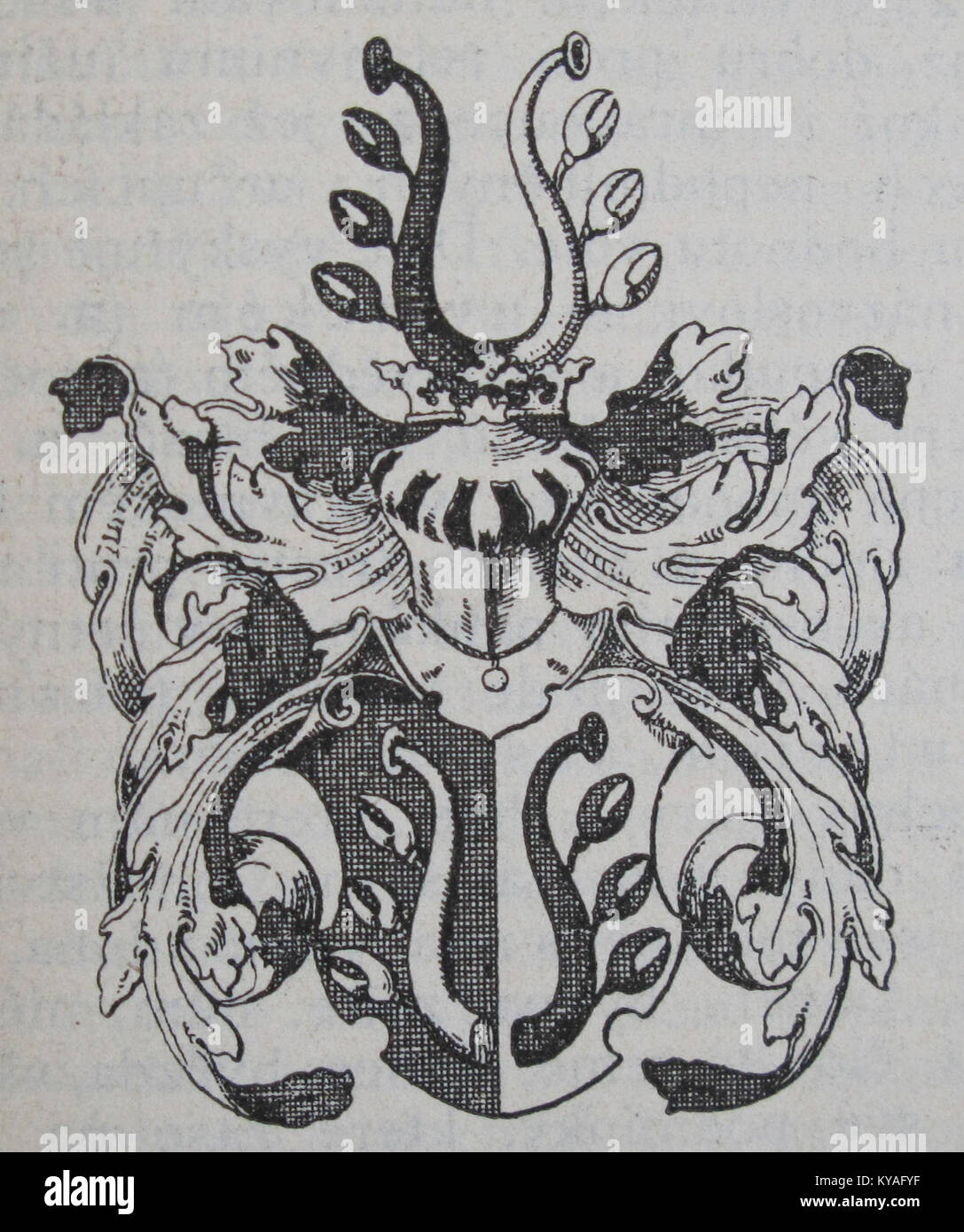 This Slovak dictionary, possibly from the early 20th century, includes ...