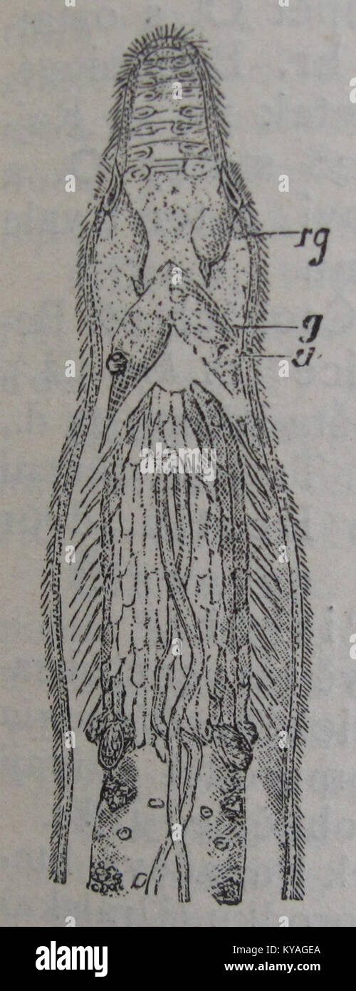 Encyclopedic resources hi-res stock photography and images - Alamy