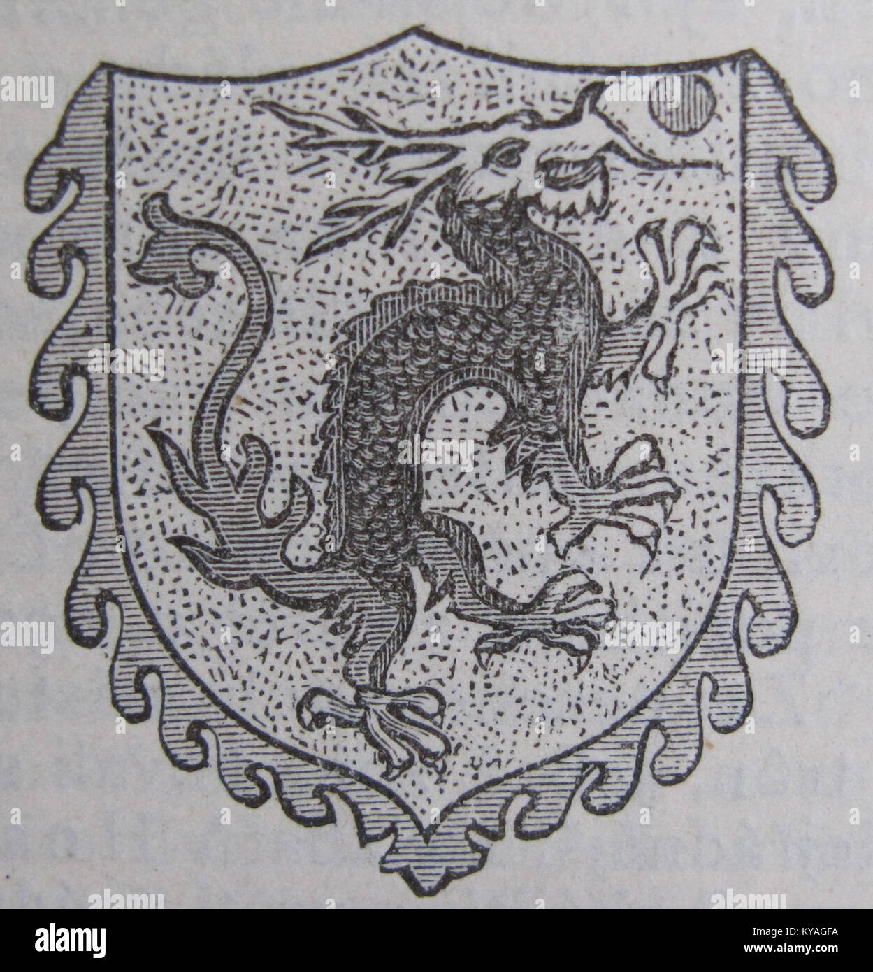 The 'Ottuv slovník naučný' is a Czech encyclopedia, with the image ...