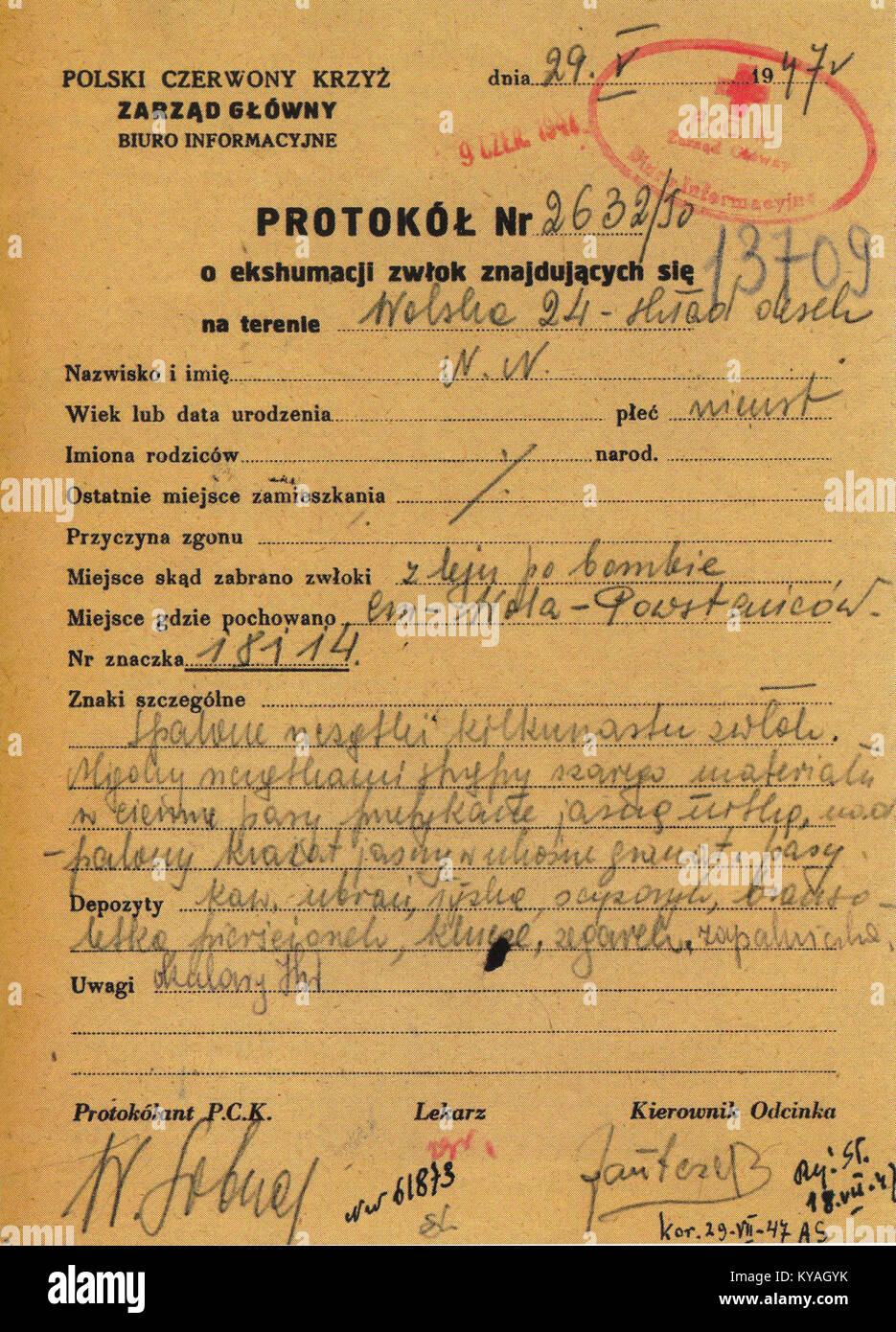 Exhumation documentation hi-res stock photography and images - Alamy